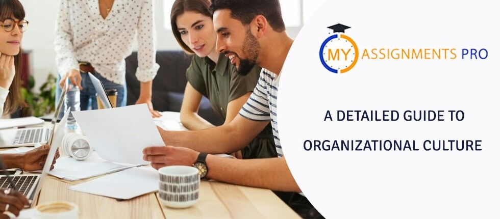 A Detailed Guide to Organizational Culture